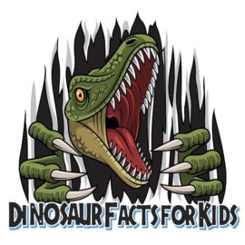 25 Pyroraptor Facts For Kids. - Dinosaur Facts For Kids