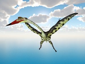 Were There Any Flying Dinosaurs? (12 Most Common Flying Reptiles ...