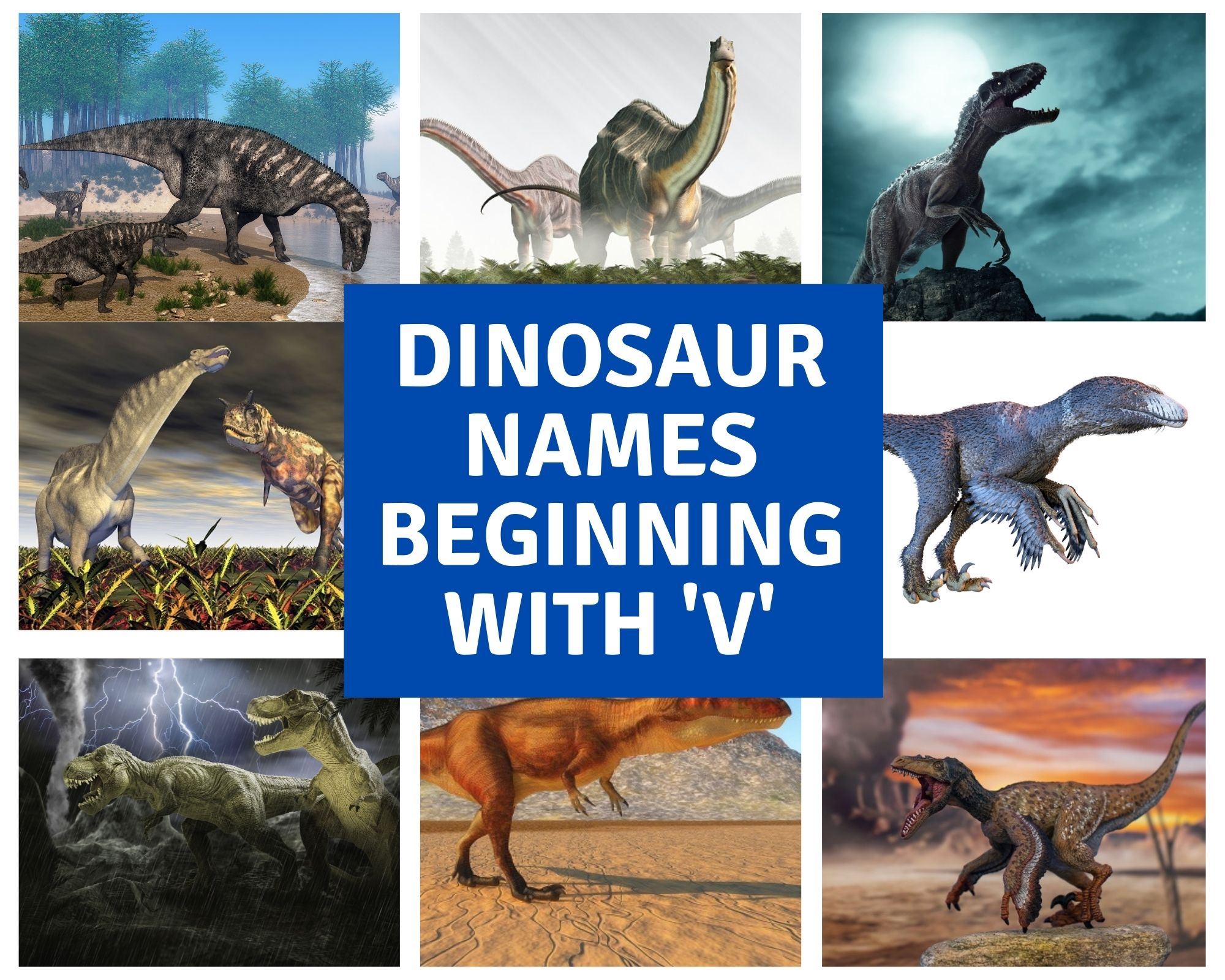 Dinosaur Names Beginning With V Dinosaur Facts For Kids