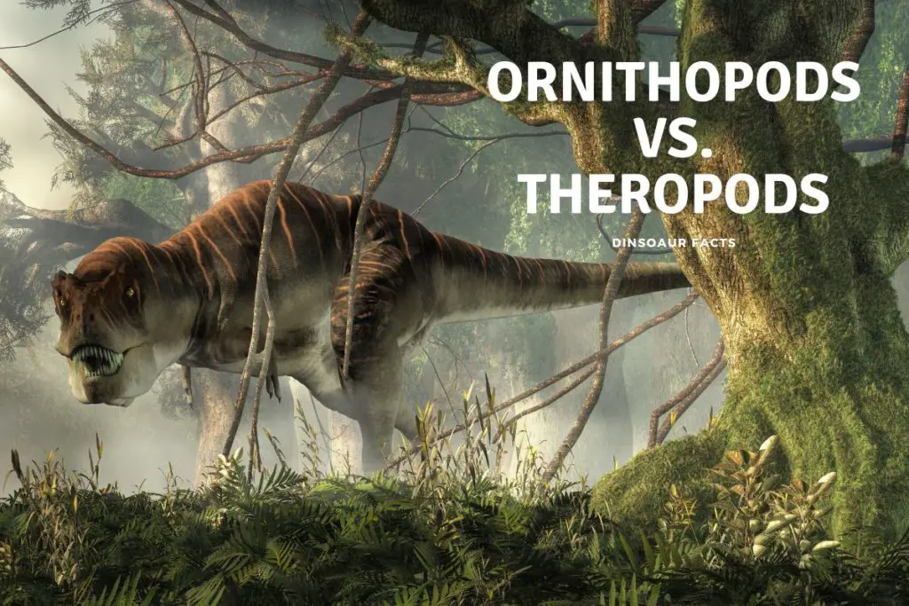 Ornithopods Vs. Theropods - Dinosaur Facts For Kids