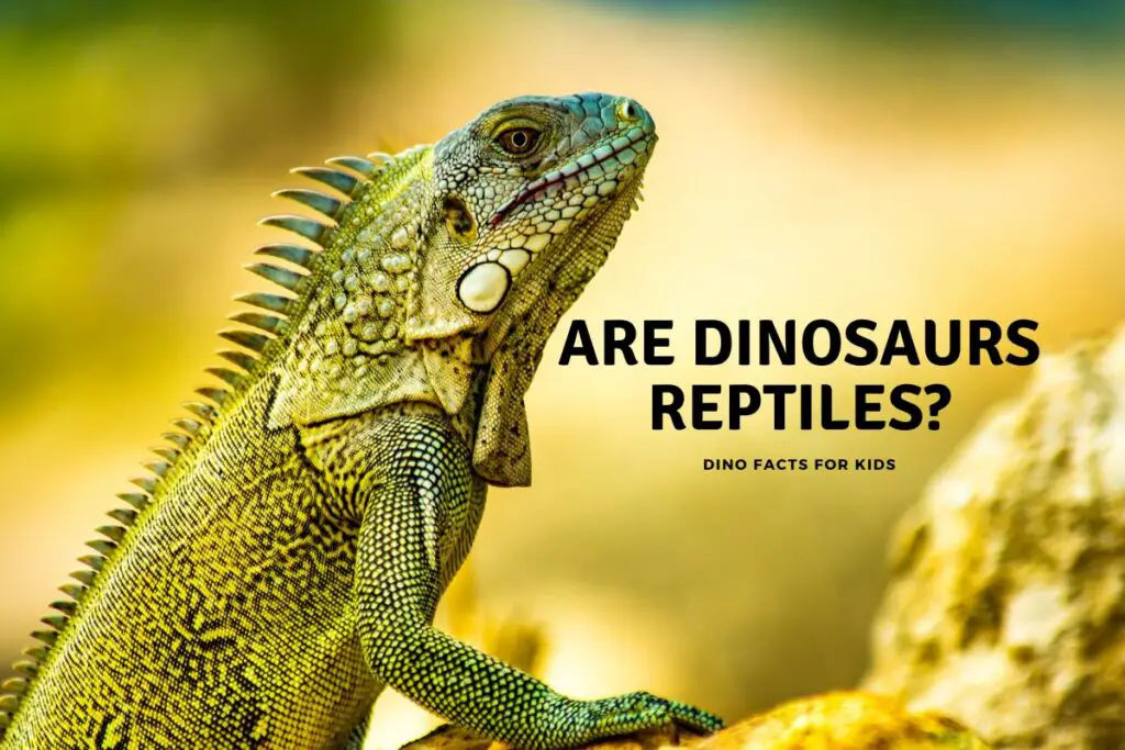 Funny Dinosaur Names - Dinosaur Facts For Kids