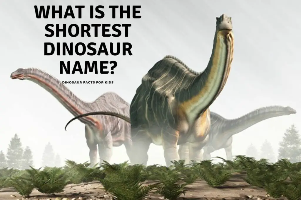 What Was The Smallest Carnivorous Dinosaur? - Dinosaur Facts For Kids