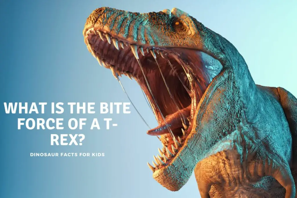 What Is The Bite Force Of A T-Rex? - Dinosaur Facts For Kids