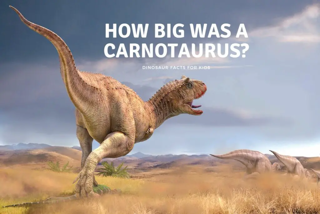 How Heavy Was The T-Rex - Dinosaur Facts For Kids
