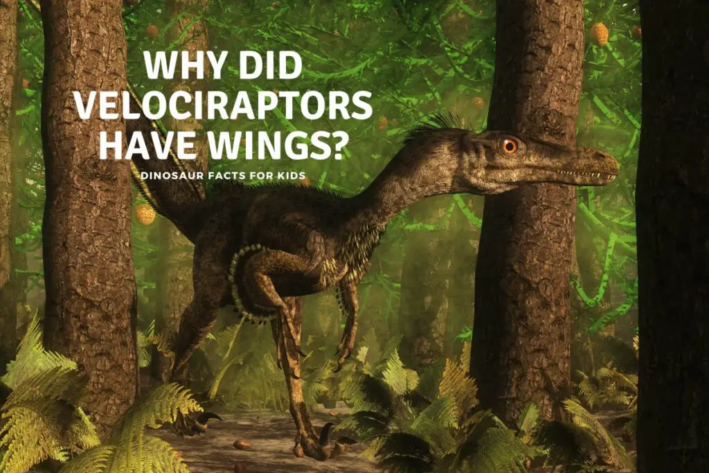Where Did Dinosaurs Live? - Dinosaur Facts For Kids