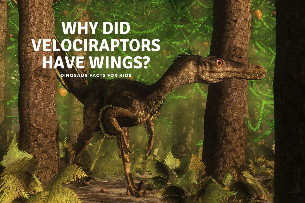 25 Pyroraptor Facts For Kids. - Dinosaur Facts For Kids