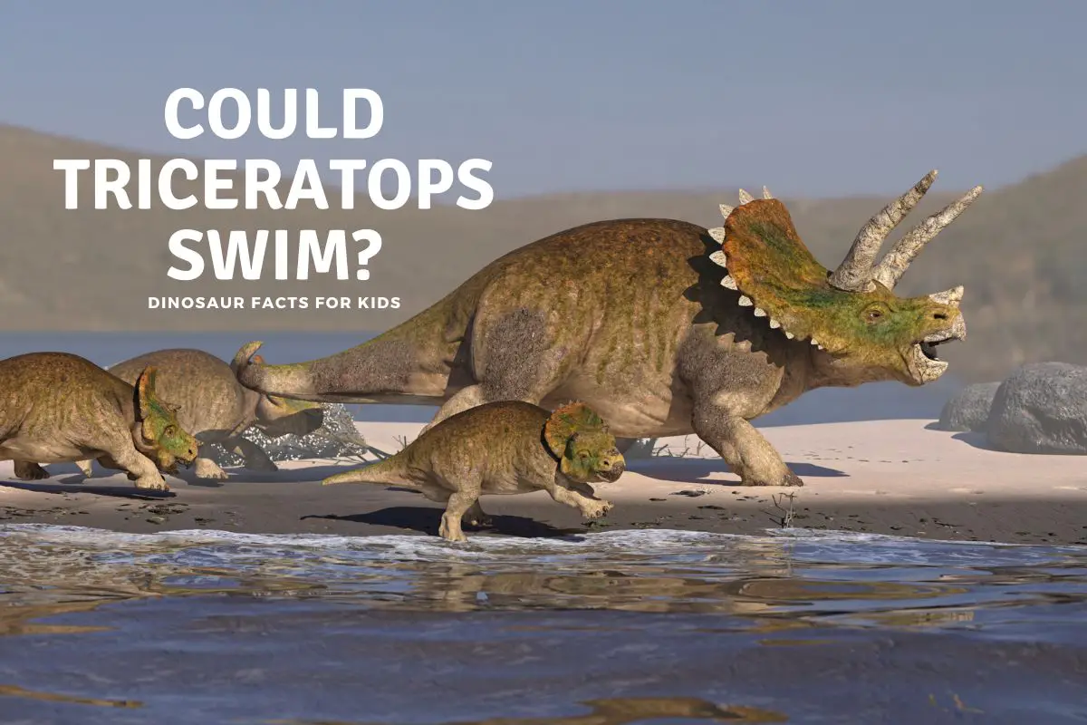 Could Triceratops Swim? - Dinosaur Facts For Kids