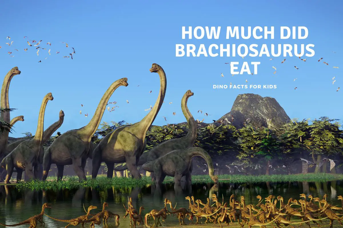 How Much Did Brachiosaurus Eat - Dinosaur Facts For Kids