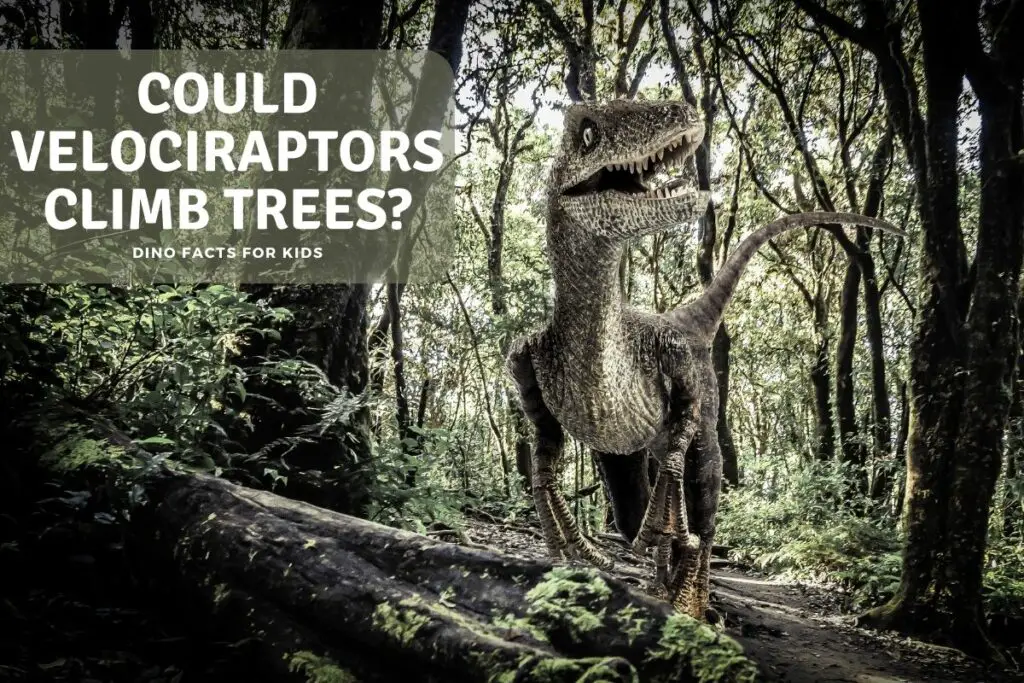 Where Did Dinosaurs Live? - Dinosaur Facts For Kids