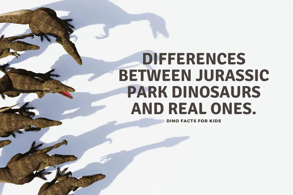 25 Triceratops Facts For Kids - Dinosaur Facts For Kids