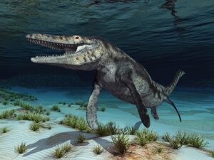 15 Of The Most Famous Sea Dinosaurs - Dinosaur Facts For Kids