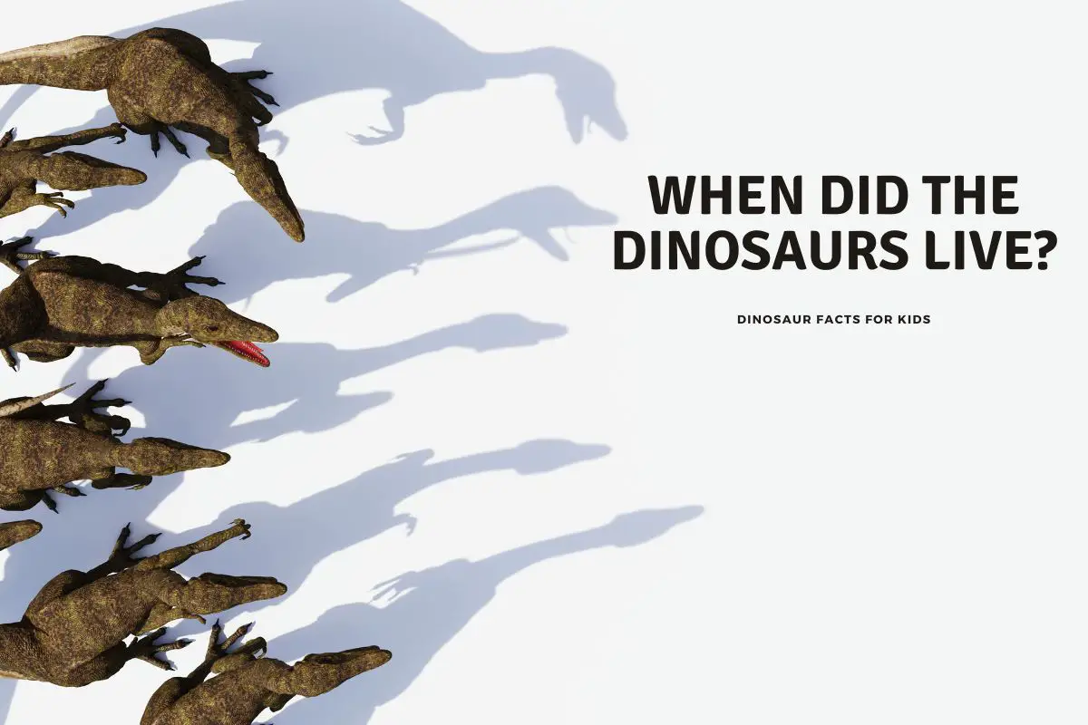 List Of Flying Dinosaur Names: All Pterosaur Species! - Dinosaur Facts ...